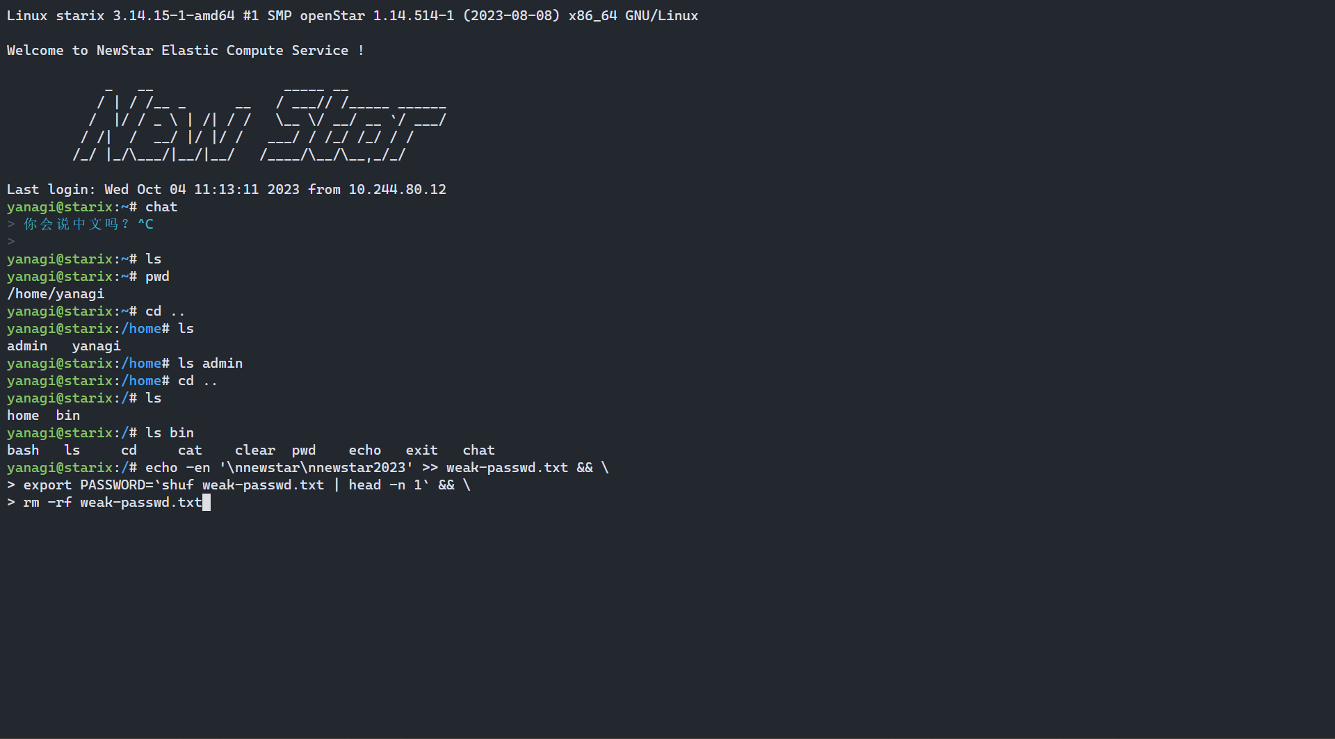 NewStarCTF 2023 公开赛道 WEB题目 - 博客 | Yanagi's blog = 亚纳奇的Blog = 欸嘿！